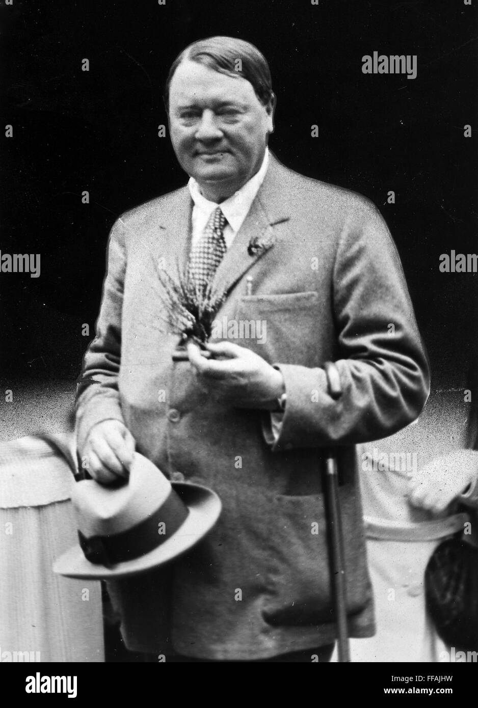 ALFRED HARMSWORTH /n(1865-1922). Viscount Northcliffe. British ...