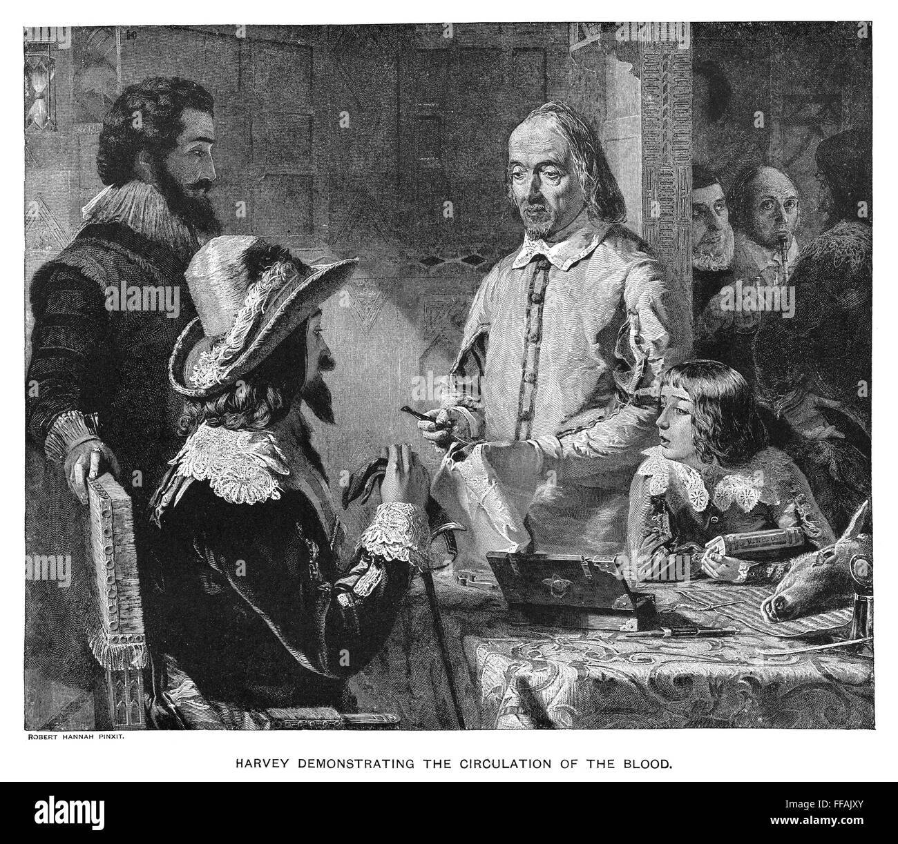 WILLIAM HARVEY (1578-1657). /nEnglish anatomist and physician. Harvey ...