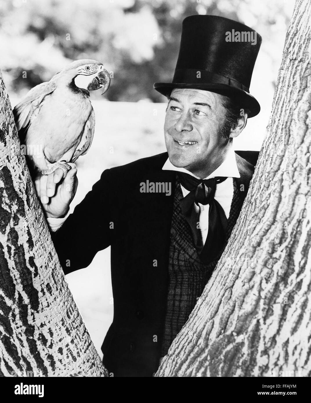 Doctor dolittle parrot High Resolution Stock Photography and Images - Alamy