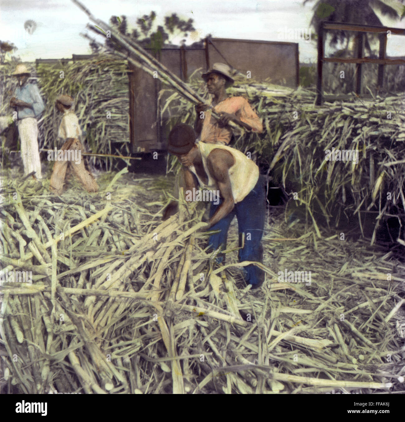 PUERTO RICO: SUGAR CANE. /nWorkers on a plantation near Ponce, Puerto ...
