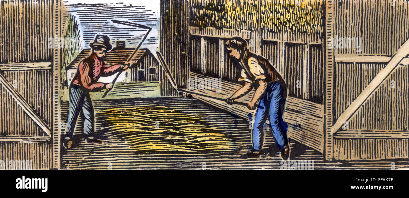 FARMING: THRESHING. /nThreshing with hand flails: wood engraving ...