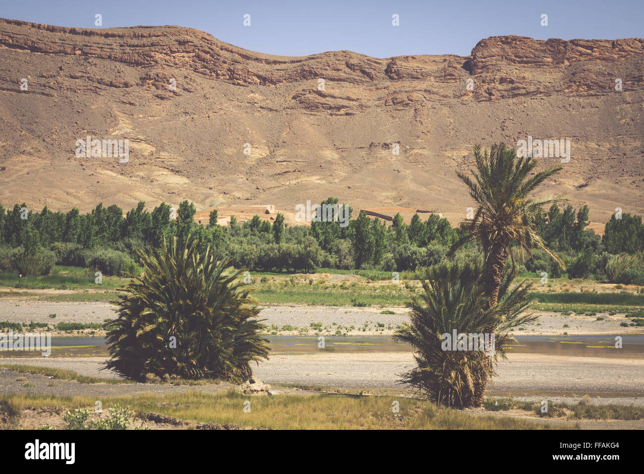 Wide view of canyon and cultivated fields and palms in Errachidia ...