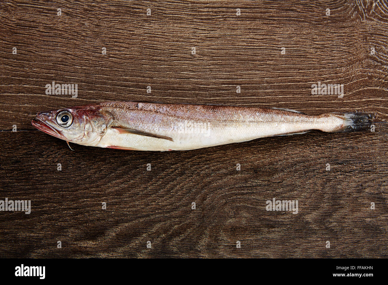 Hake fish on side view over brown wooden background Stock Photo - Alamy