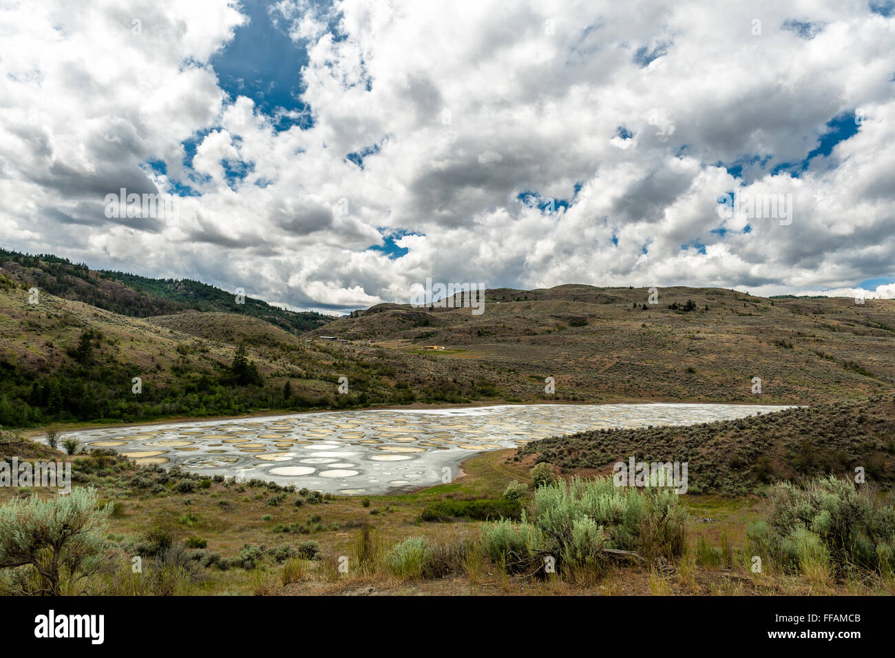 Spotted Lake in Okanagan valley, saline endorheic alkali lake located ...