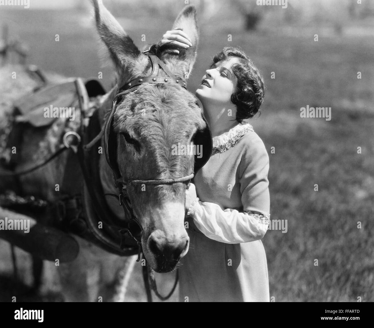 SILENT FILM STILL: ANIMAL Stock Photo - Alamy