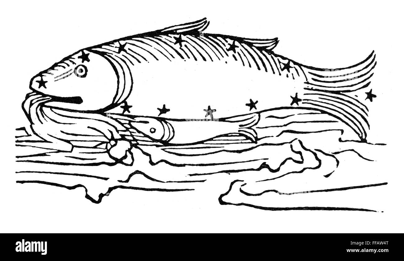 CONSTELLATION: PISCES. /nFiguration of Pisces Australis. Woodcut from ...