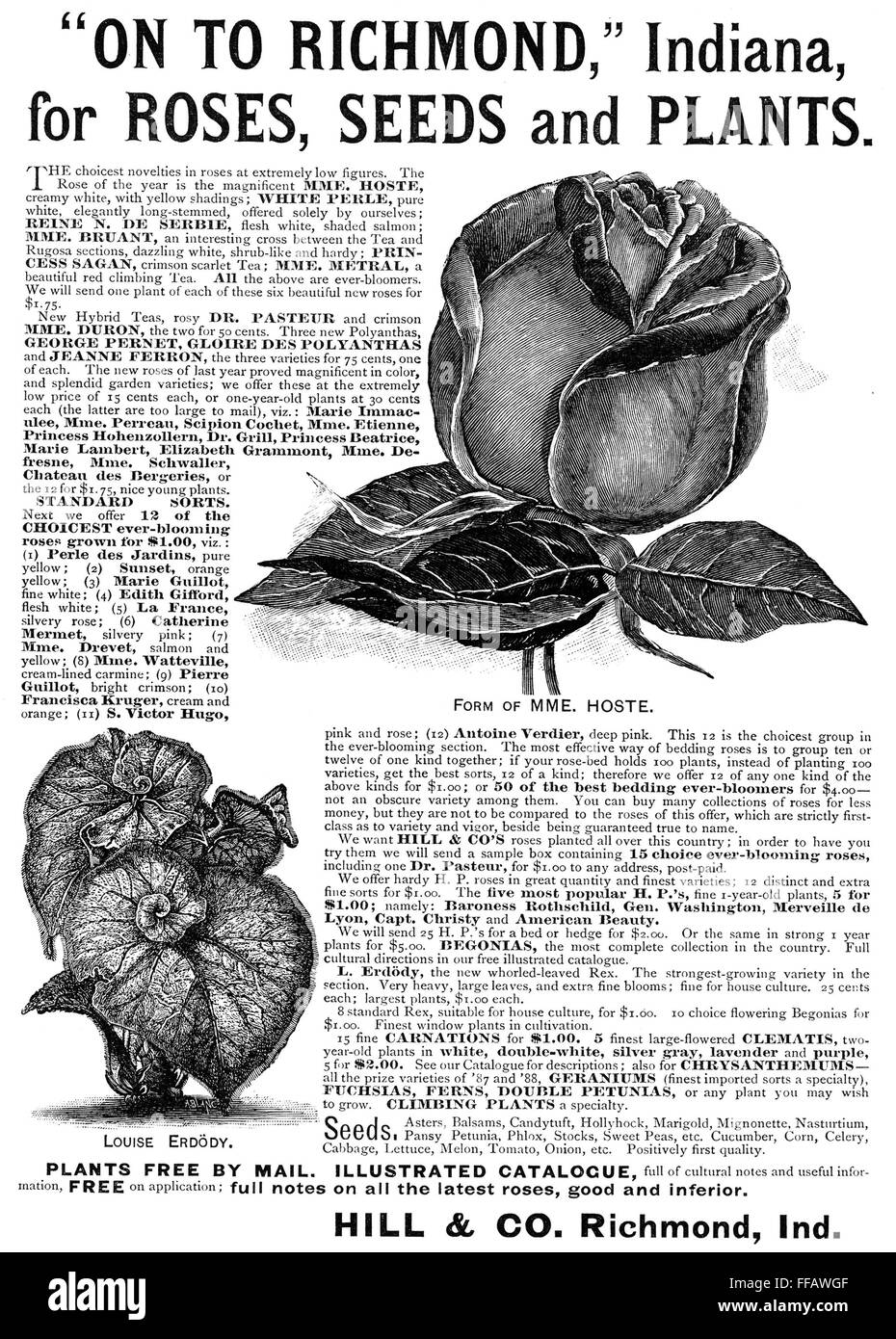 SEED ADVERTISEMENT, 1889. /nAmerican advertisement, 1889 Stock Photo ...