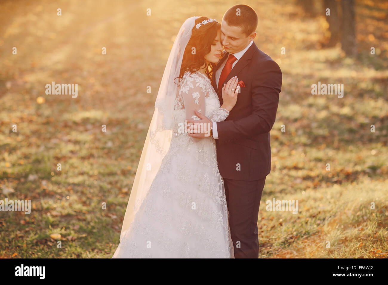 wonderful wedding day Stock Photo - Alamy