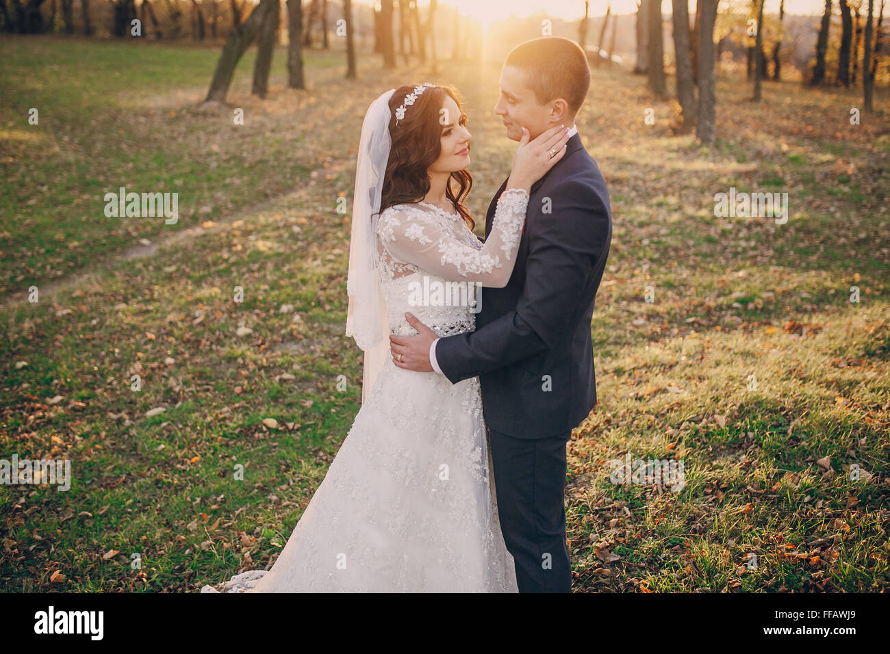 wonderful wedding day Stock Photo - Alamy