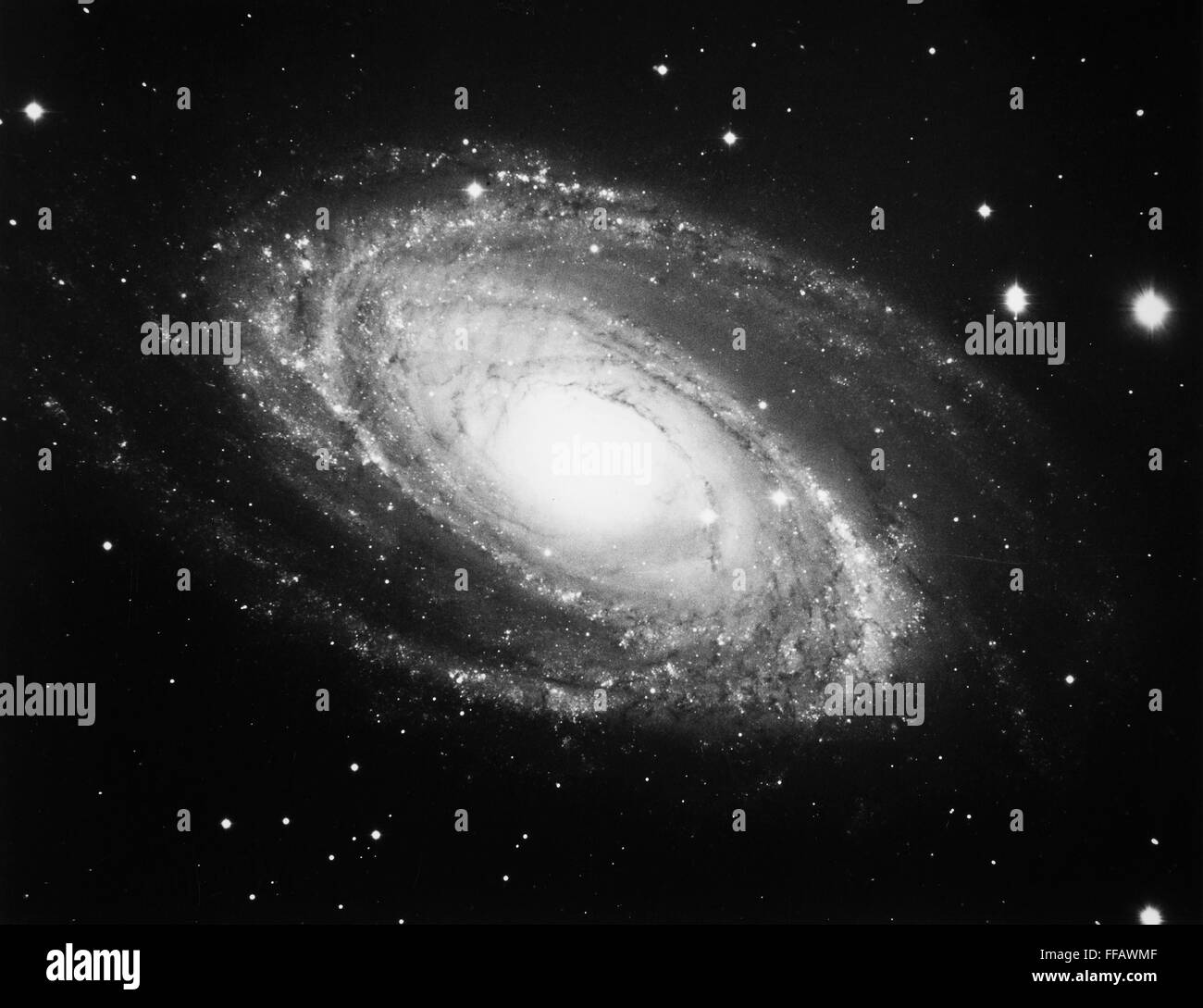 SPIRAL GALAXY. /nNGC 3031 spiral galaxy in 'Ursa Major'. Messier 81 ...
