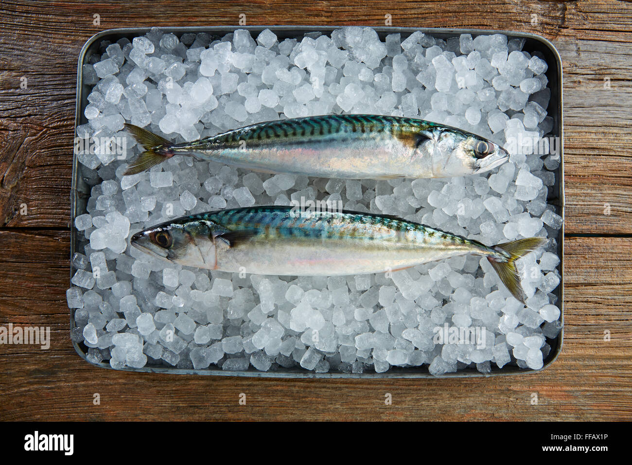 mackerel fresh fish on ice in a wooden background Stock Photo - Alamy