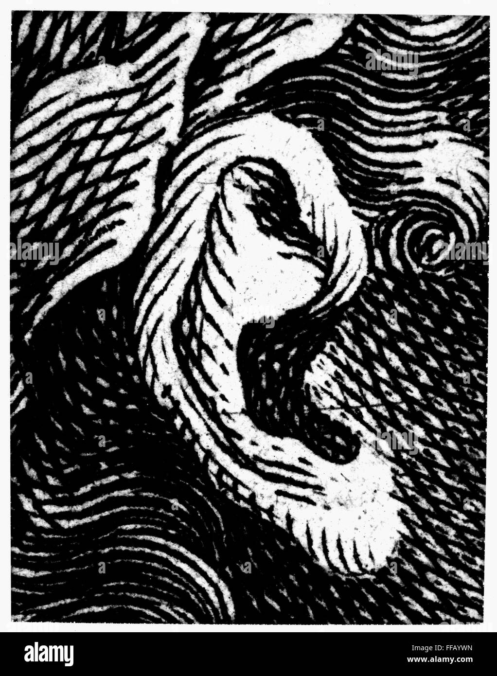 HUMAN EAR. /nCopper engraving, French, 18th century Stock Photo - Alamy