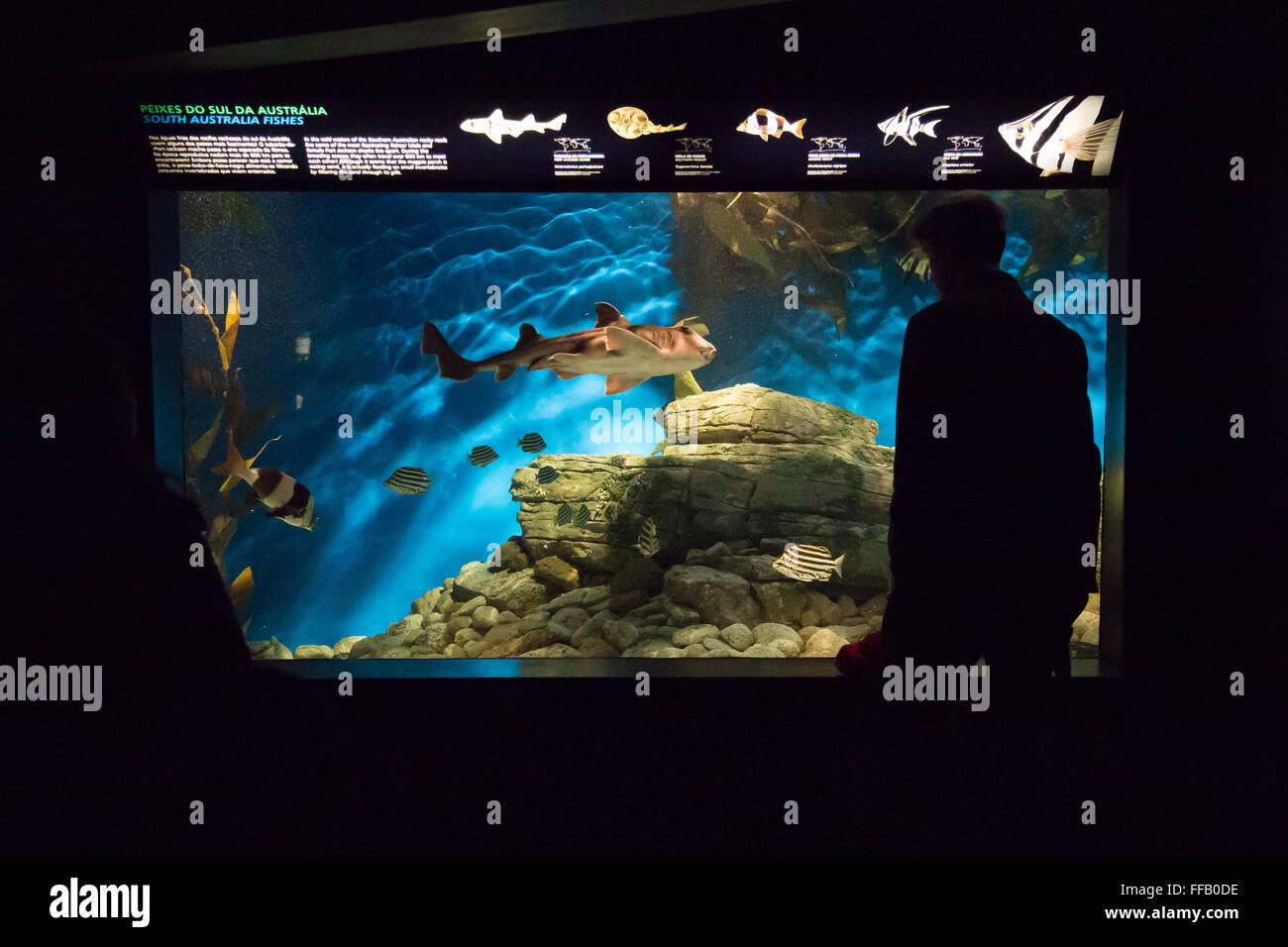 Water tank australia hi-res stock photography and images - Alamy