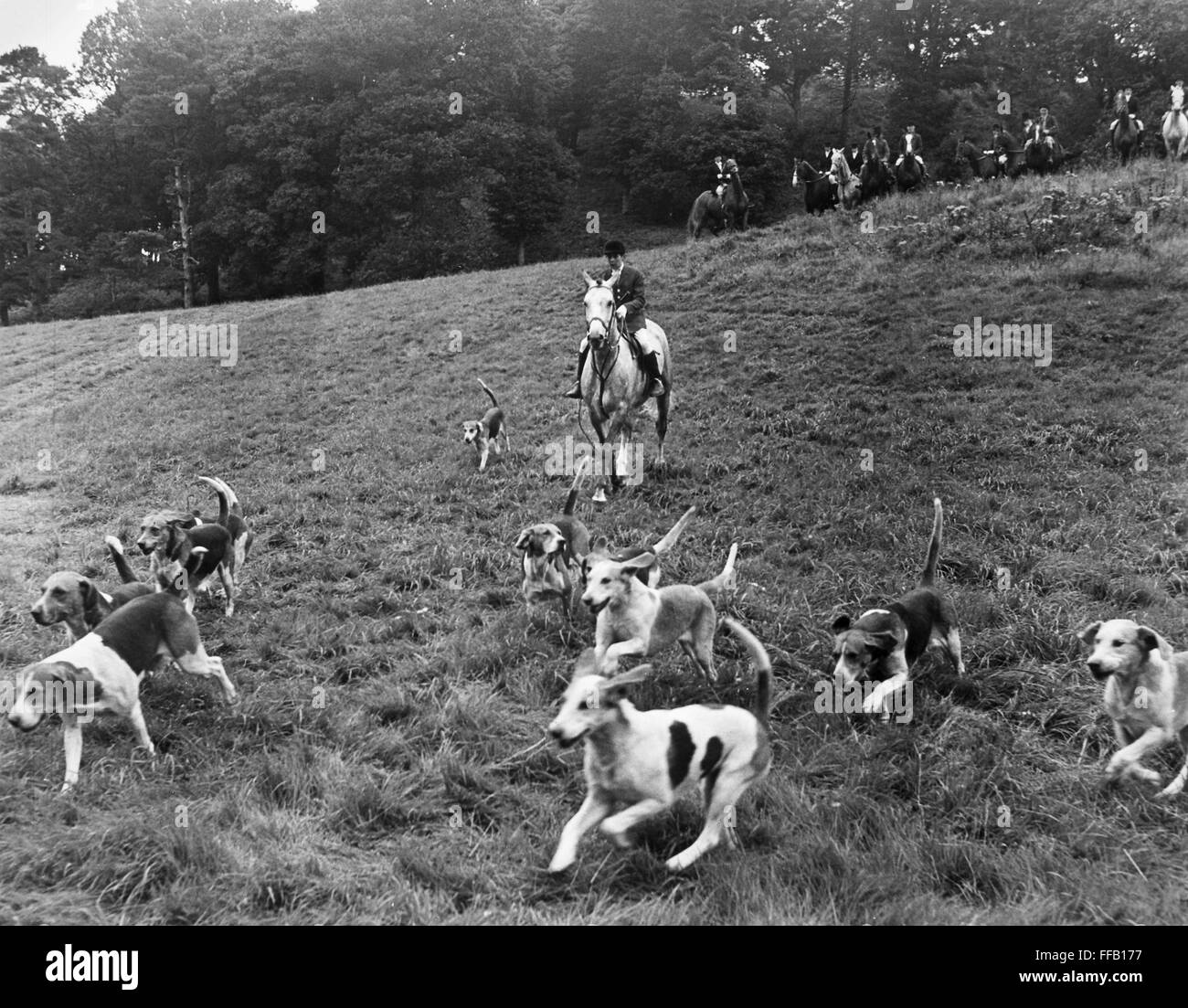 ENGLAND: FOX HUNTING. /nPhotographed in the 20th century Stock Photo ...