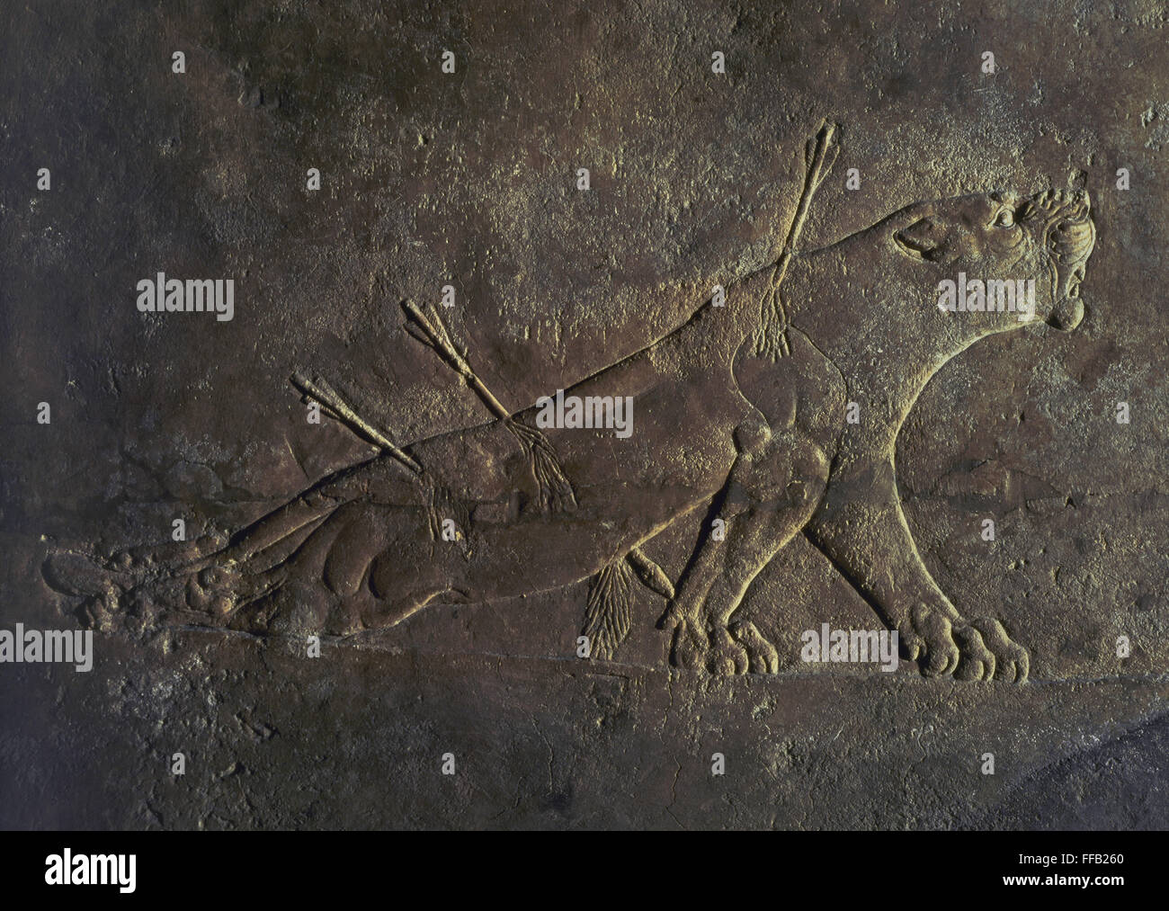 Assyrian lion hunt hi-res stock photography and images - Alamy