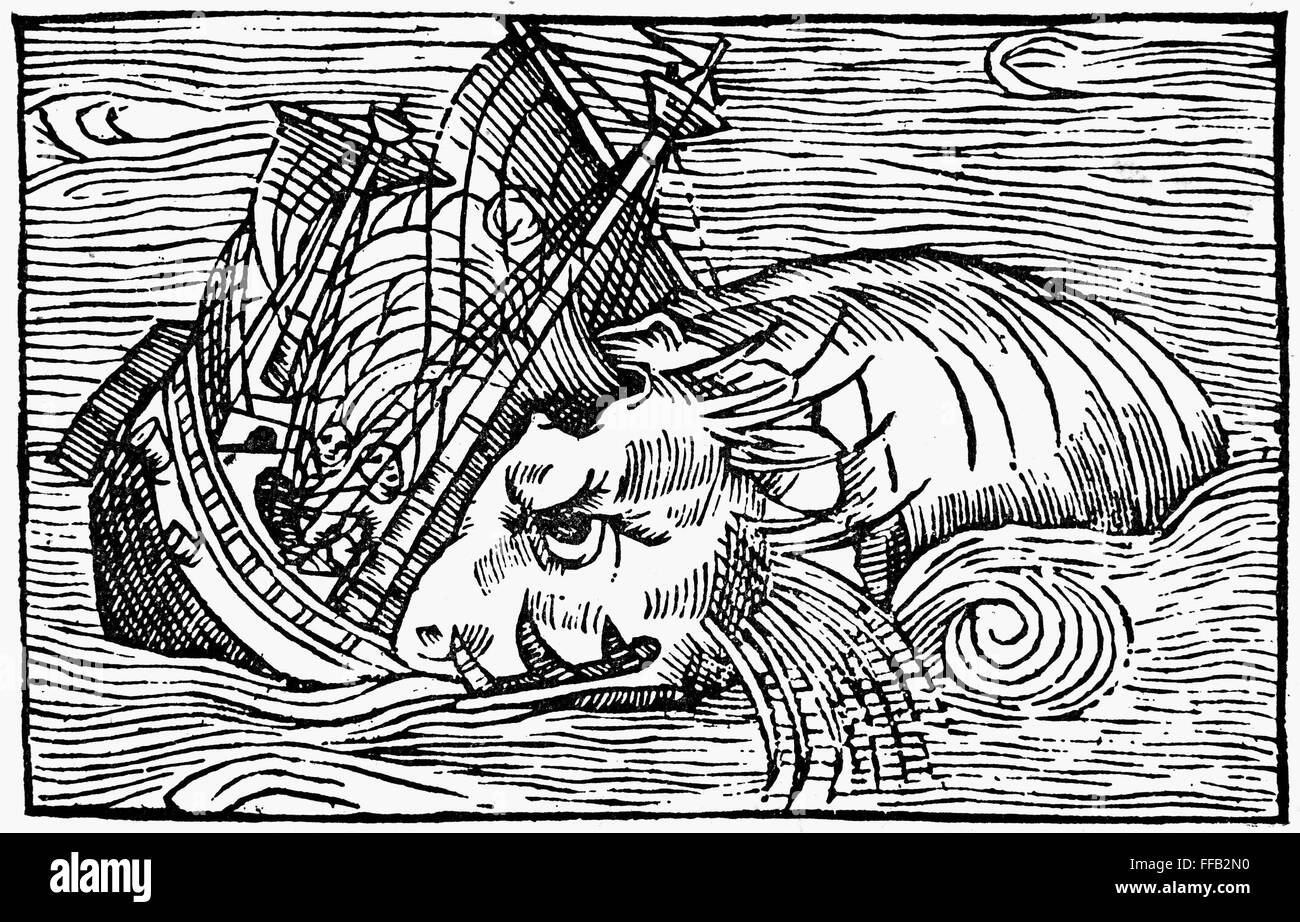 SEA MONSTER, 1555. /nWoodcut from Olaus Magnus' 'Historia de Gentibus ...