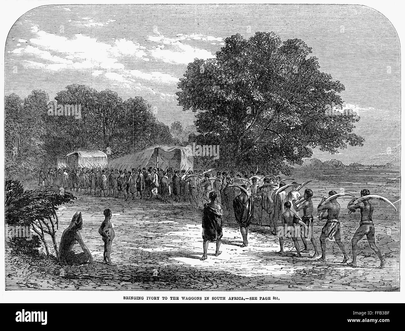 Ivory Trade In 1900 Year