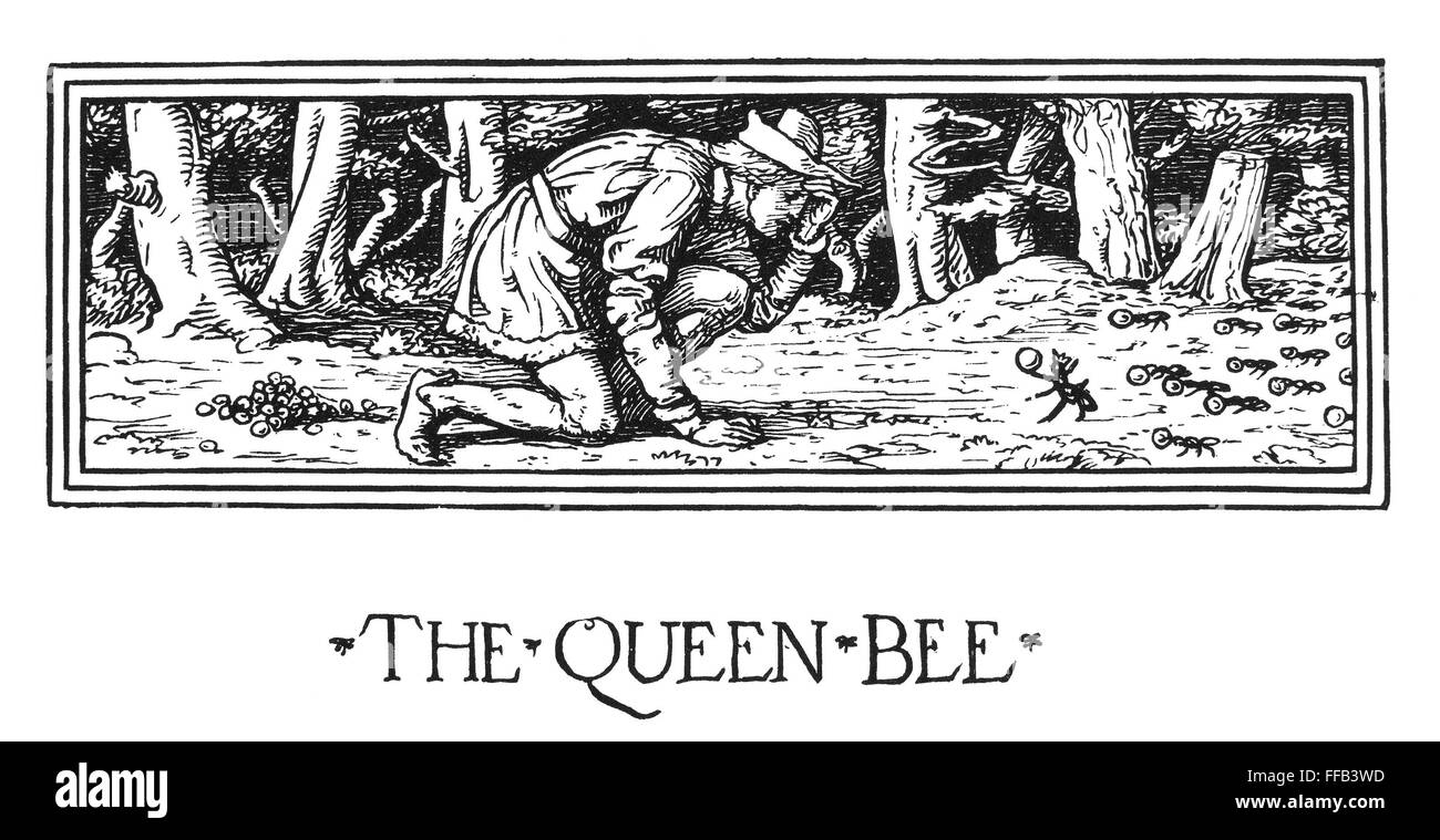 GRIMM: THE QUEEN BEE. /nDrawing by Walter Crane (1845-1915) for the ...