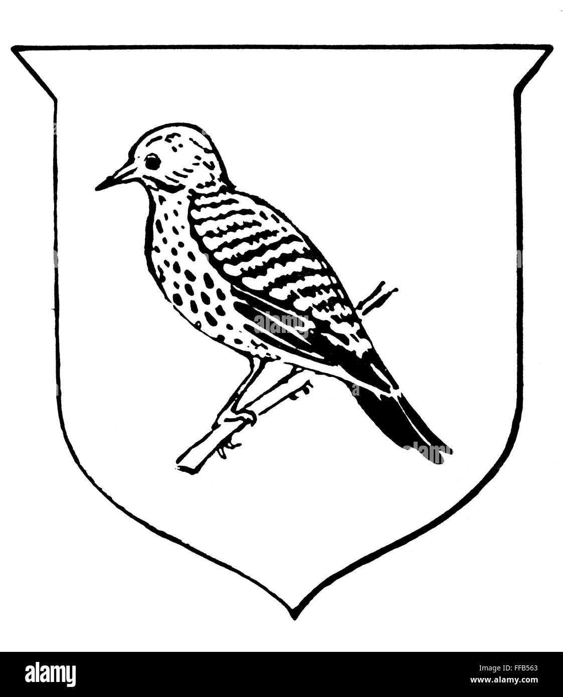 ALABAMA STATE BIRD. /nThe Yellowhammer Stock Photo - Alamy