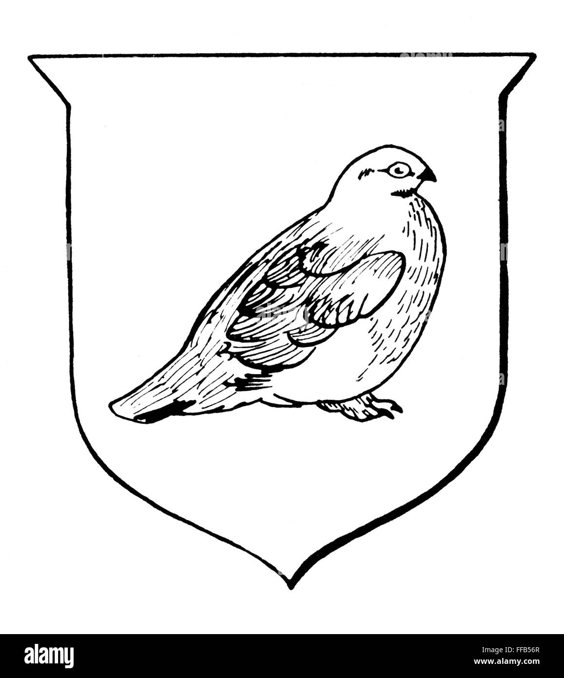 ALASKA: STATE BIRD. /nThe Willow Ptarmigan Stock Photo - Alamy