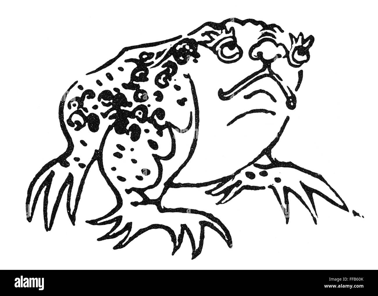 THREE-LEGGED TOAD. /nThe three-legged toad, Chinese symbol of fortune ...