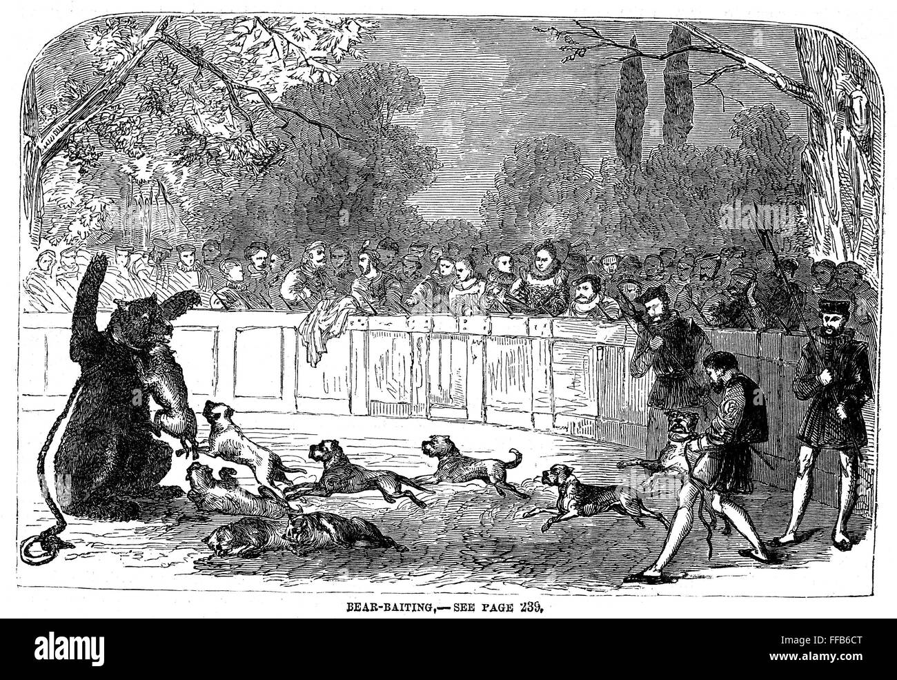 BEAR-BAITING. /nA bear-baiting event in 16th century England. Wood ...