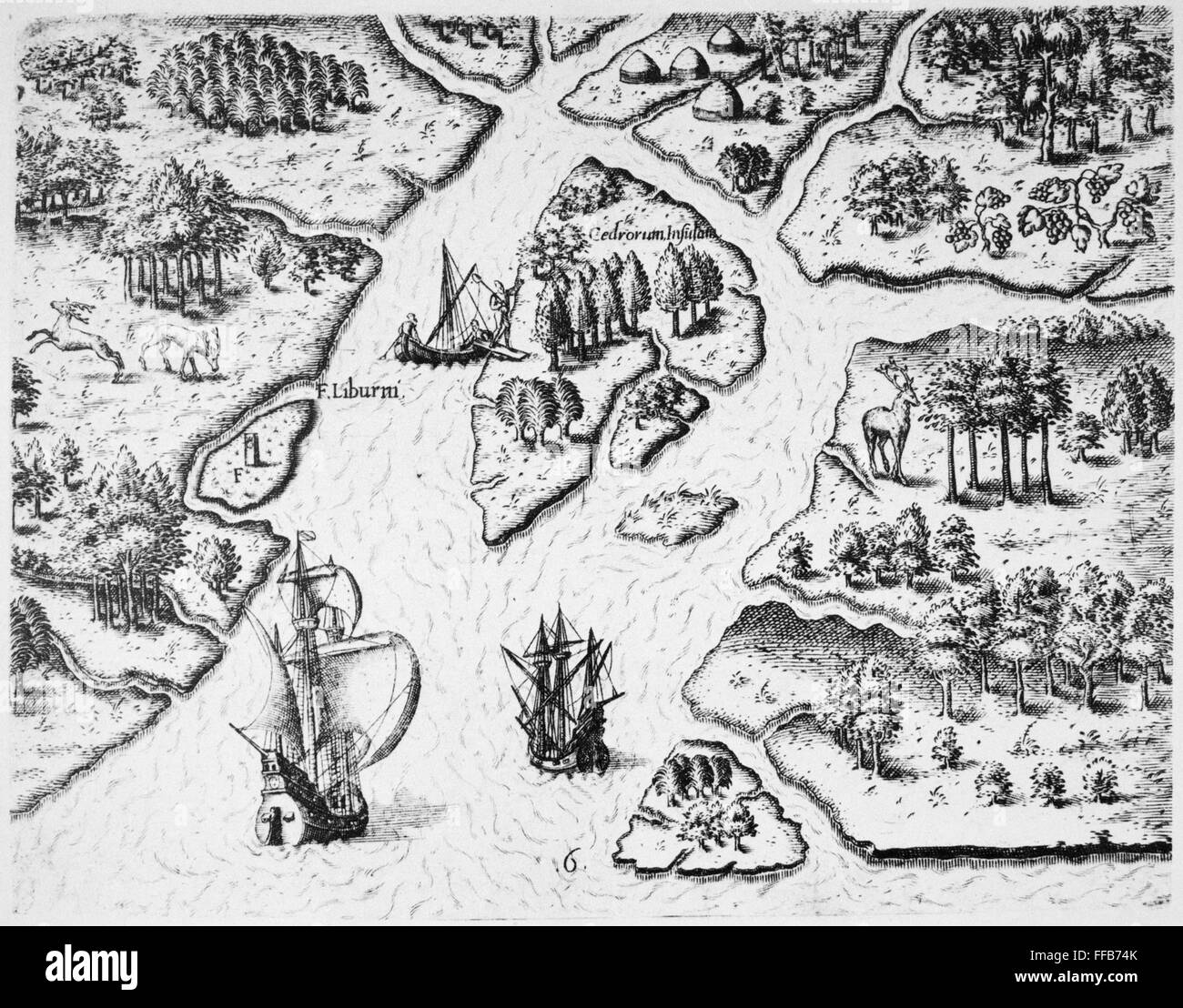 RIBAULT EXPEDITION, 1562. /nA French expedition under the command of ...