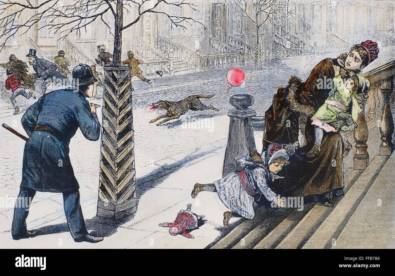 RABIES EPIDEMIC, 1886. /nThe Mad Dog Epidemic. Scene on an uptown ...