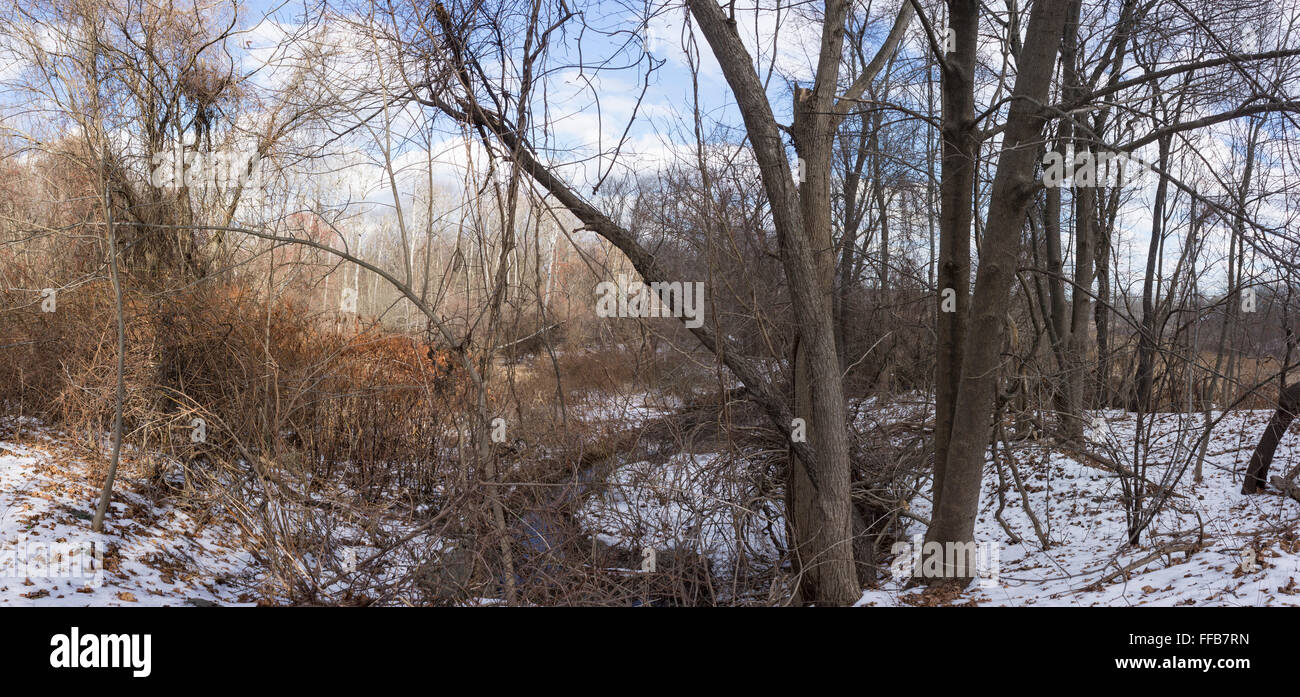 Brook landscape hi-res stock photography and images - Alamy