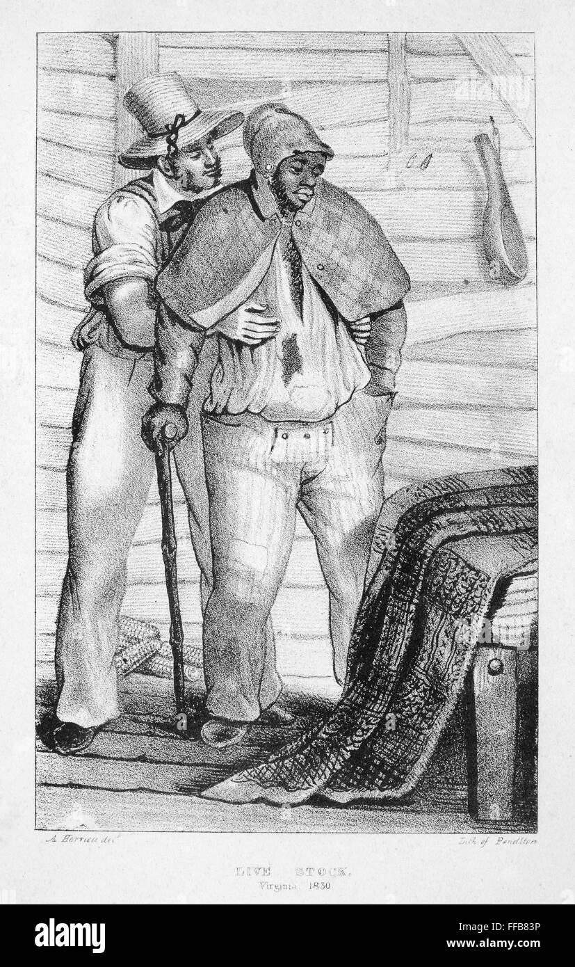 VIRGINIA: SLAVERY, 1830. /n'Live Stock, Virginia 1830.' Lithograph from ...