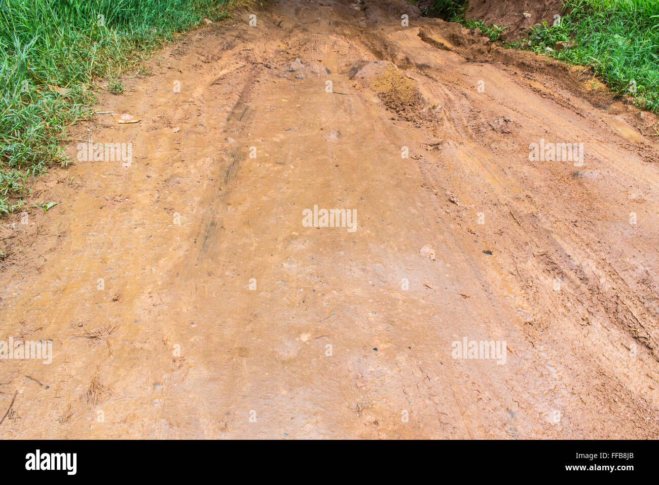 dirt road after the rain Stock Photo - Alamy