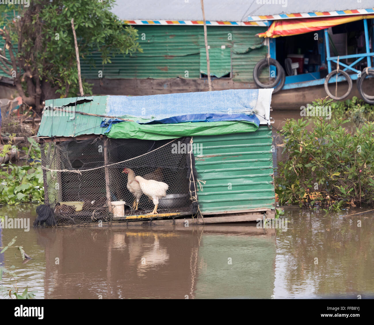 Chicken house boat, Chong Khneas floating village, Siem Reap River ...