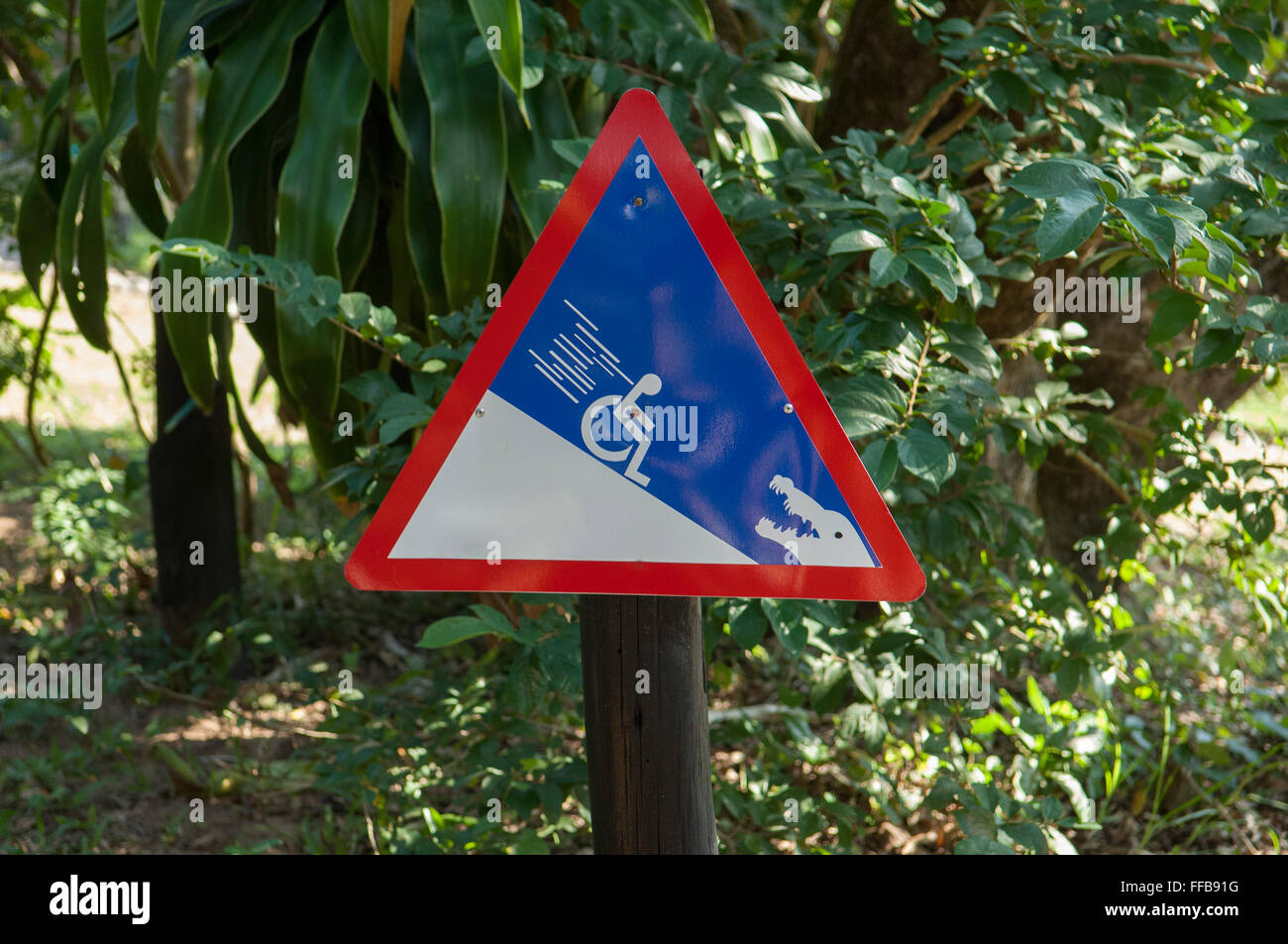Road sign, Warning slope with wheelchair and crocodile, KwaZulu-Natal ...