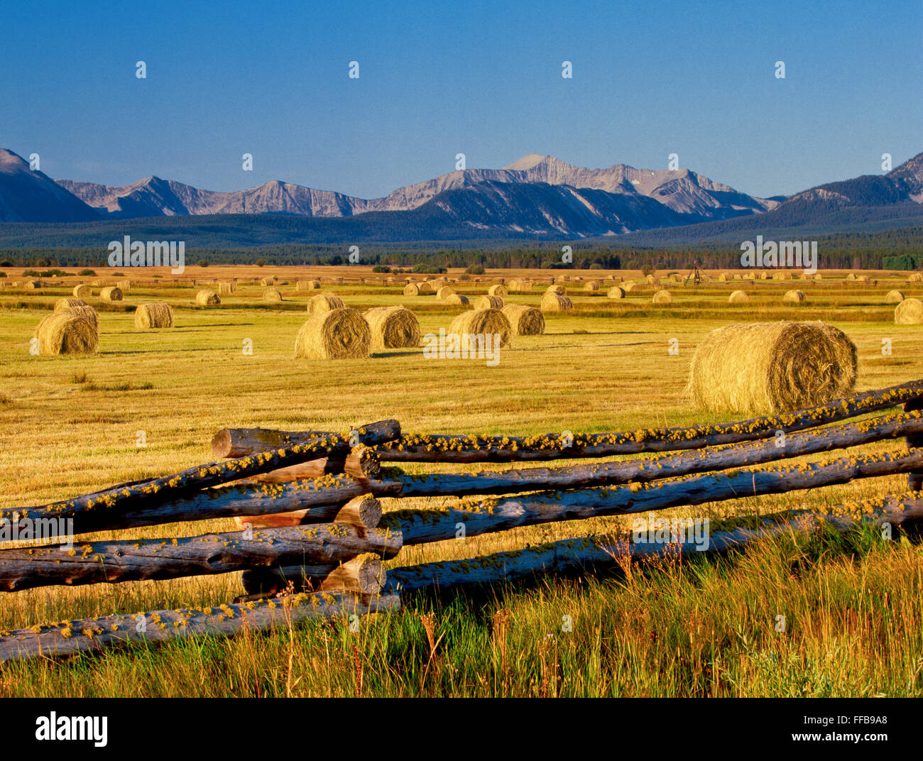 round hay bales below the beaverhead mountains in the upper big hole ...