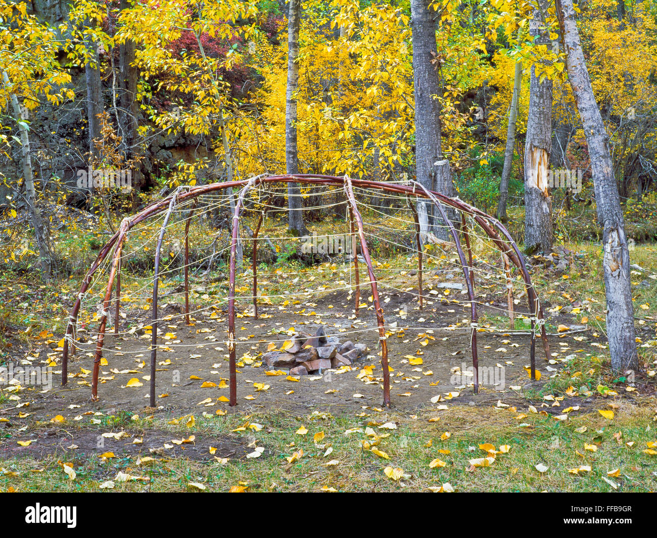 willow frame of sweat lodge in beaver creek valley on rocky boys indian ...