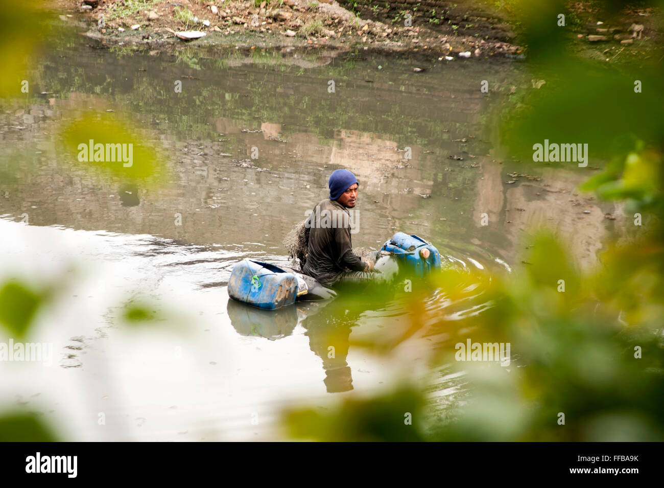 Janitor fish hi-res stock photography and images - Alamy