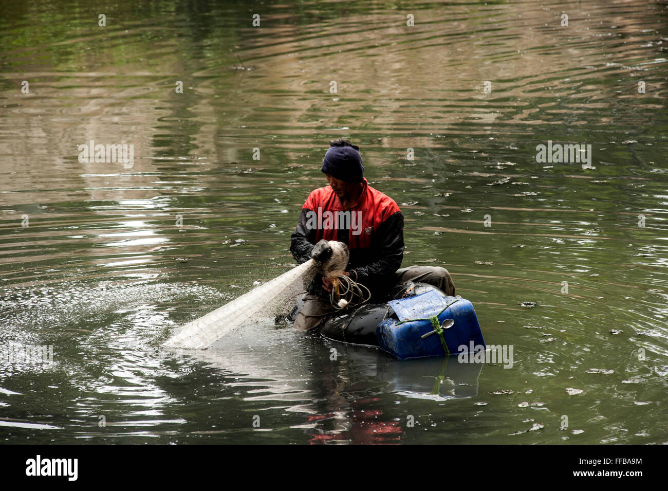 Jakarta, Indonesia. 11th Feb, 2016. Fish Hunter searching Janitor Fish ...