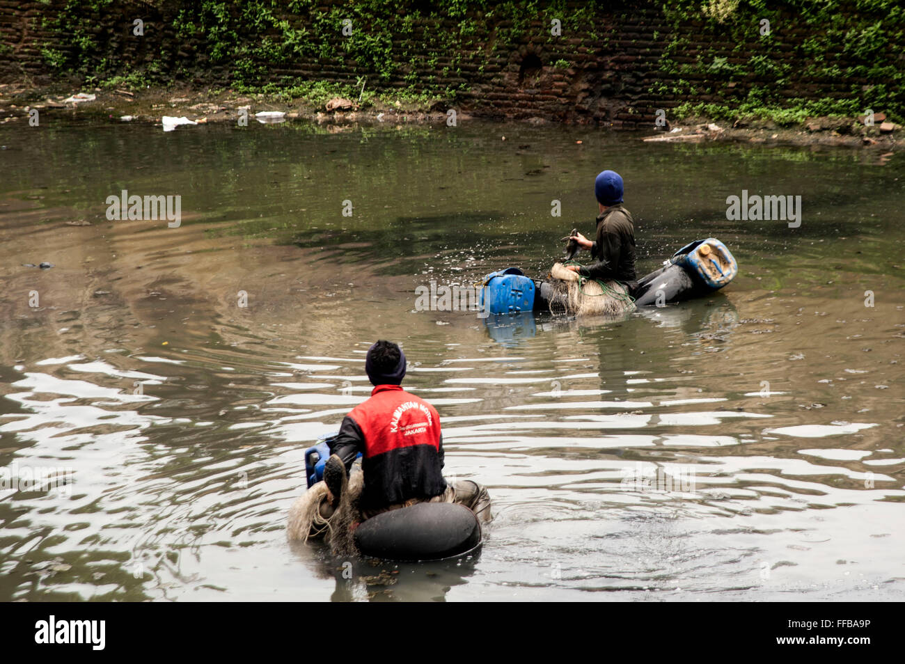 Janitor fish hi-res stock photography and images - Alamy