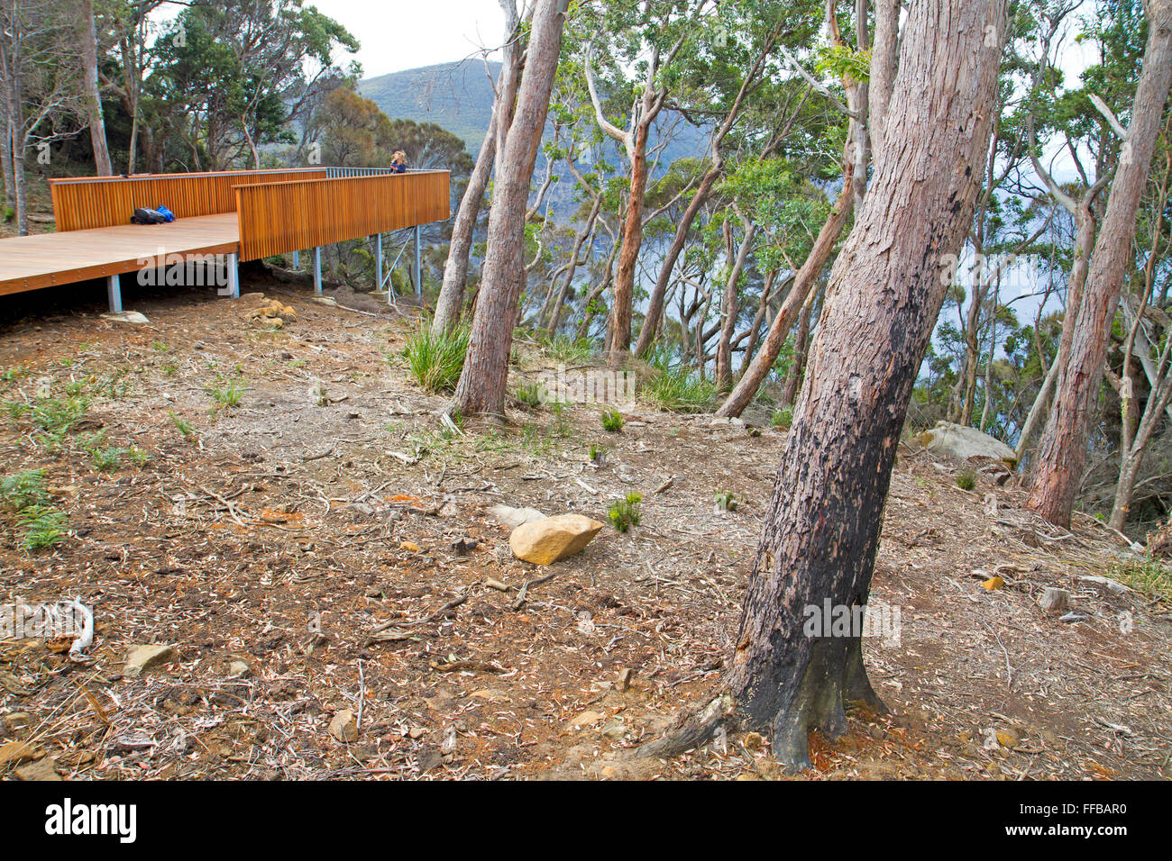 The long deck at Munro hut on the Three Capes Track Stock Photo - Alamy