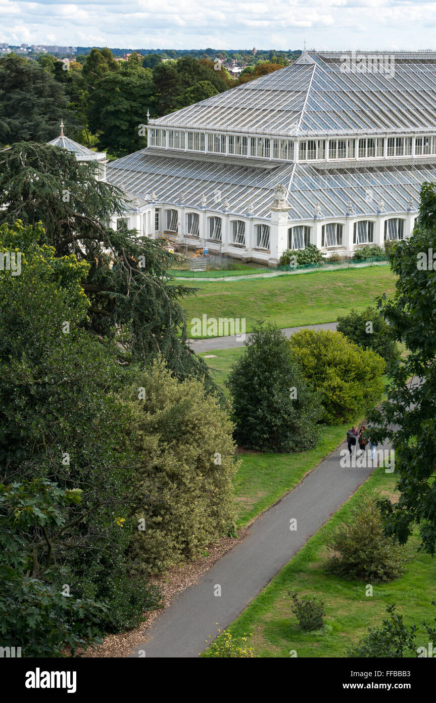The Temperate House at Kew Gardens Stock Photo - Alamy