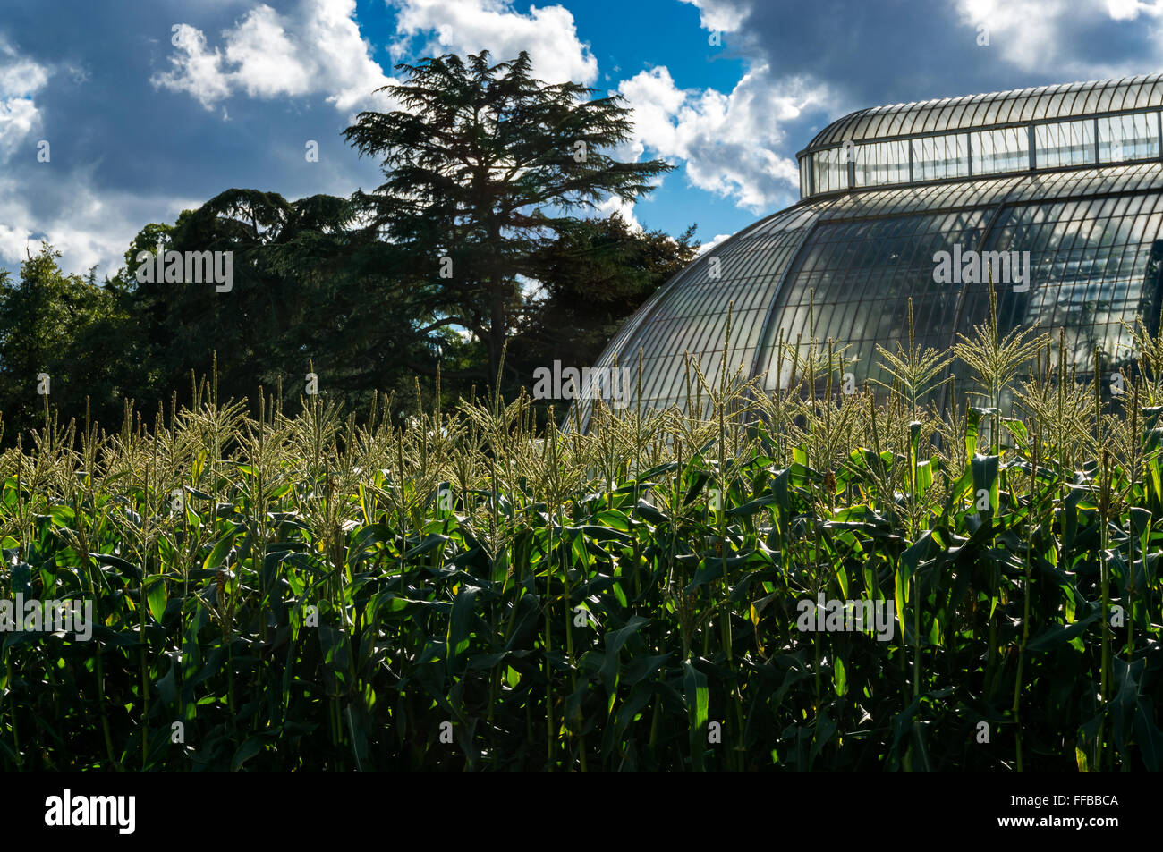 The Palm House at Kew Gardens Stock Photo - Alamy