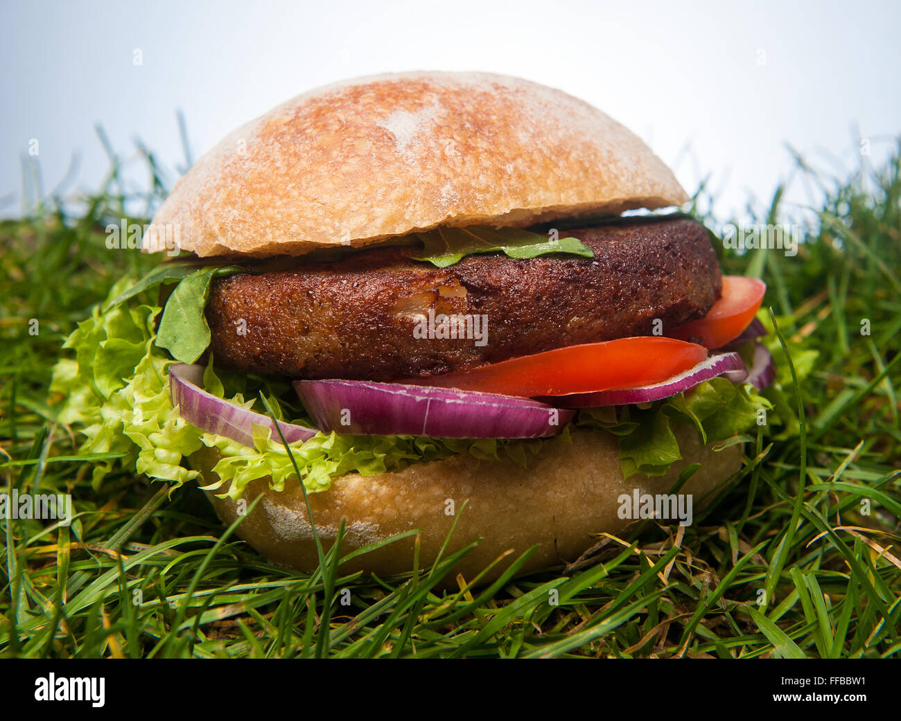 Bremen, Germany. 30th Jan, 2016. The new 'Insect Burger' is presented ...