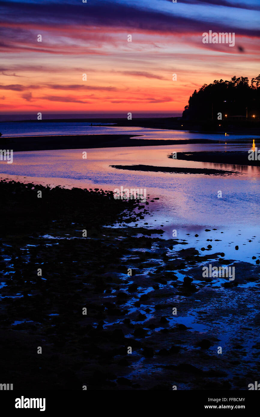 Amazingly beautiful sunset at Siletz Bay with a resilient lone tree on ...