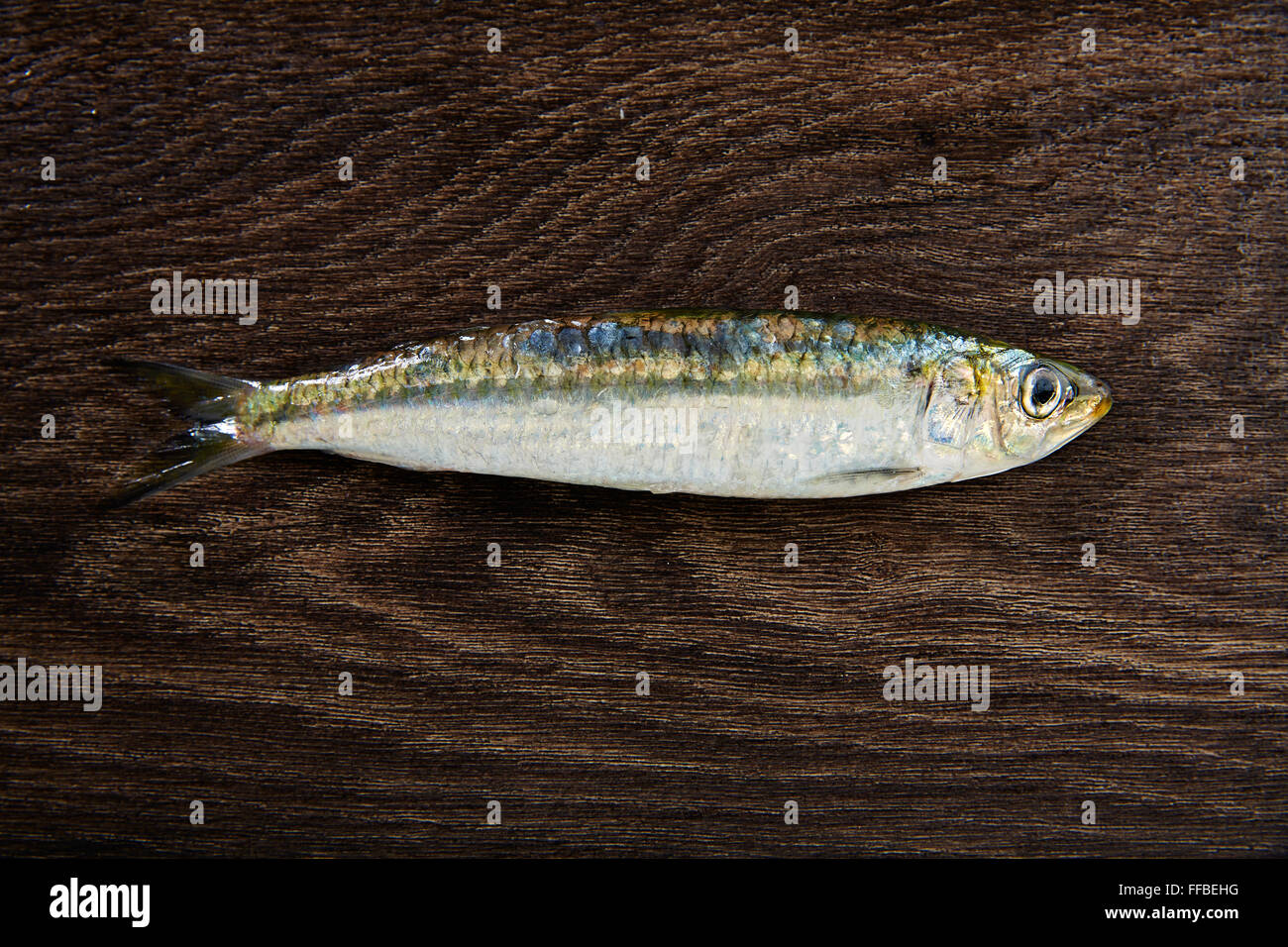 Sardine fresh fish on brown wooden table Stock Photo - Alamy