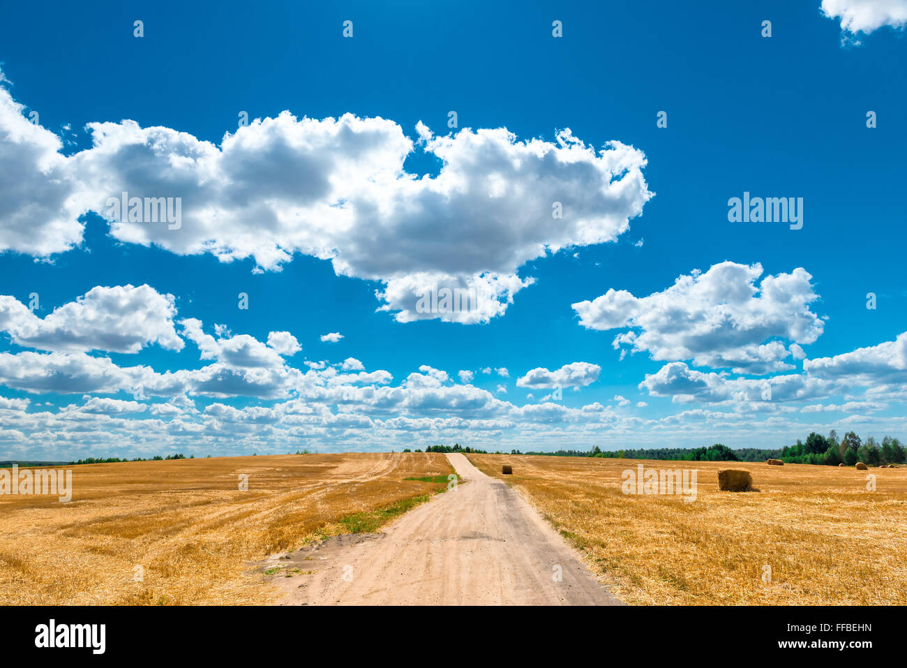 magnificent scenery beautiful yellow field and cumulus clouds Stock ...