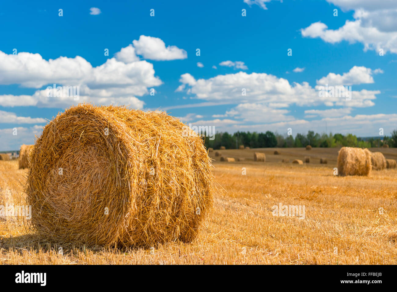 Harvesting hayloft hi-res stock photography and images - Alamy