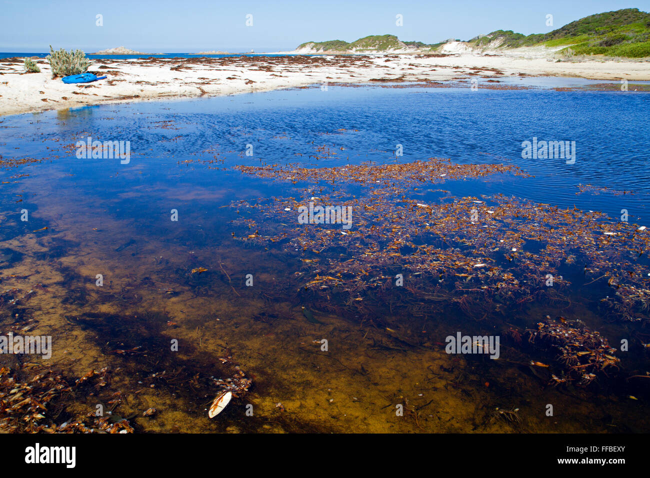 Lagoon at Stumpys Bay Stock Photo - Alamy