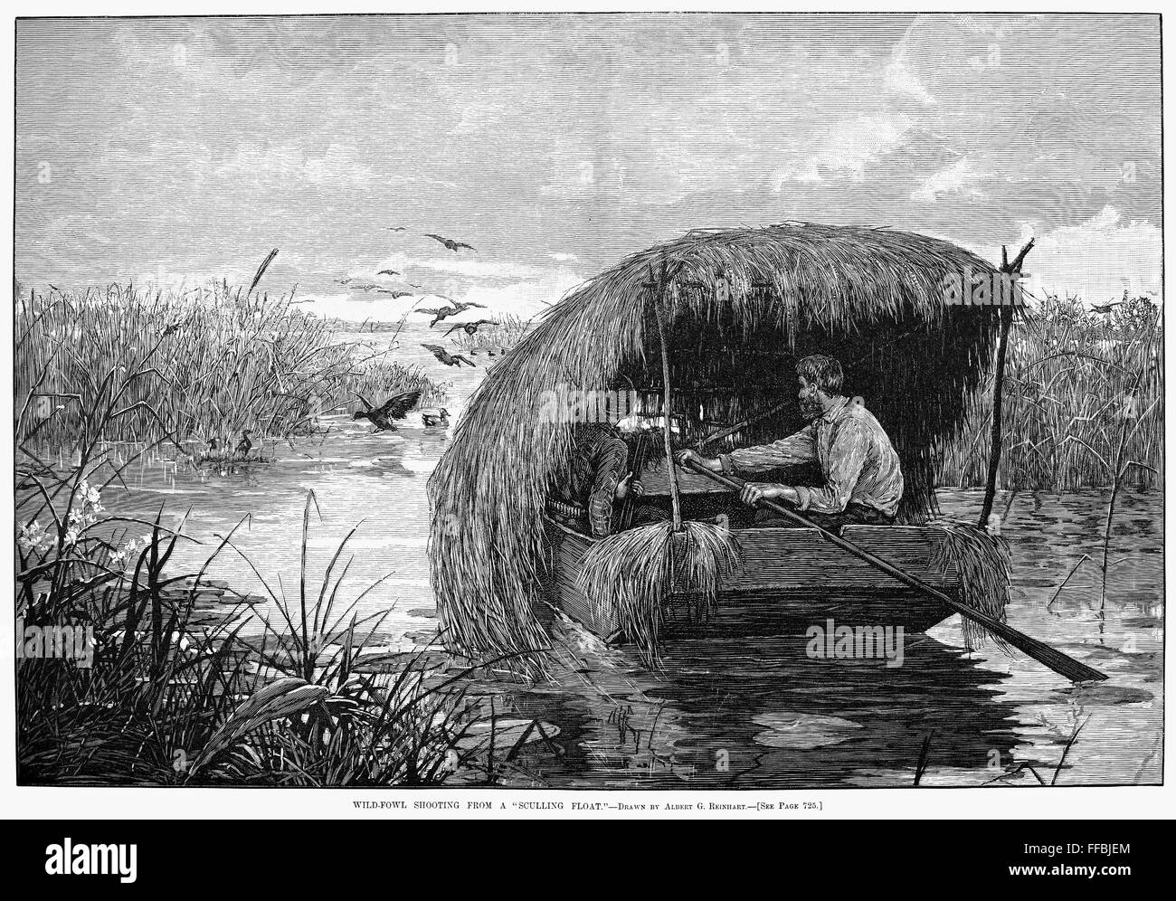 BIRD SHOOTING, 1885. /n'Wild-Fowl Shooting from a "Sculling Float ...