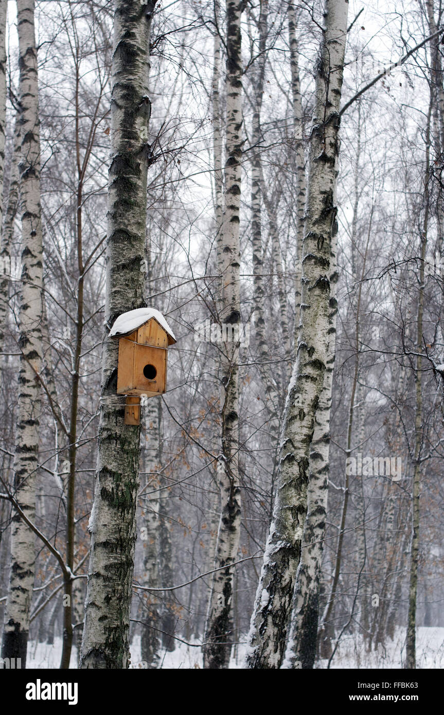 Birch tree house hi-res stock photography and images - Alamy