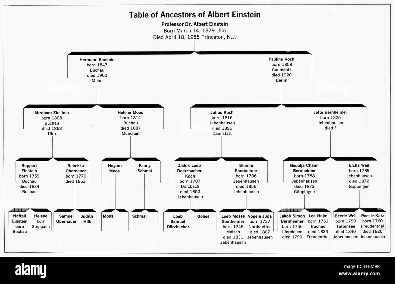 EINSTEIN FAMILY TREE. /nTable of ancestors of American (German-born ...